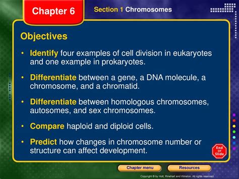 How To Use This Presentation Ppt Download