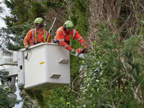 Staying Safe Around Overhead Lines Northpower