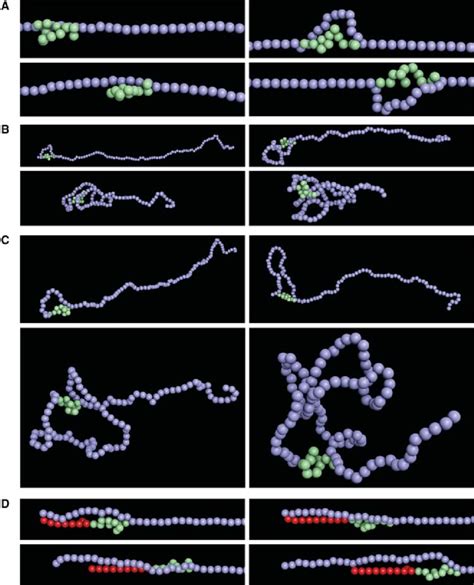 Simulation Of Condensin Walking Along A Chromatin Substrate A