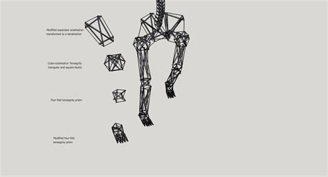 Layered Design For A Full Body Tensegrity Model Intension Designs