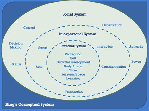 Kings Conceptual System Nursology