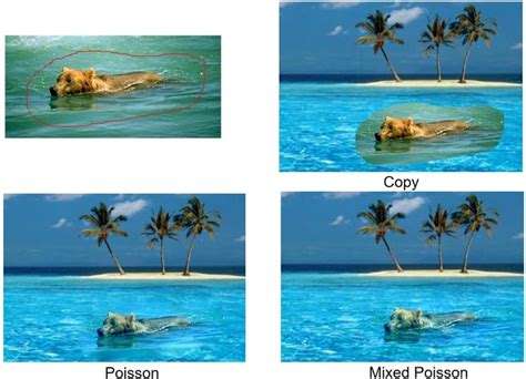 Github Rainzorpoissonimageediting