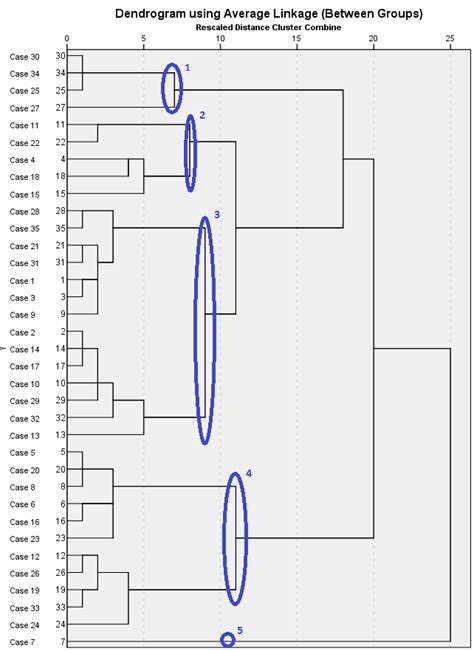 Reflections Of A Data Scientist Hierarchical Cluster Spss