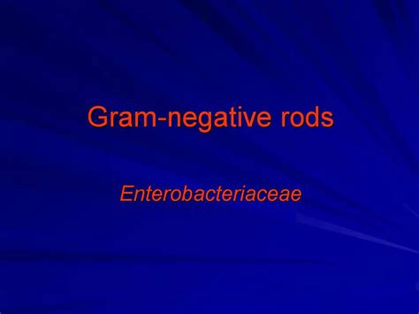 Ppt Gram Negative Rods Powerpoint Presentation Free Download Id