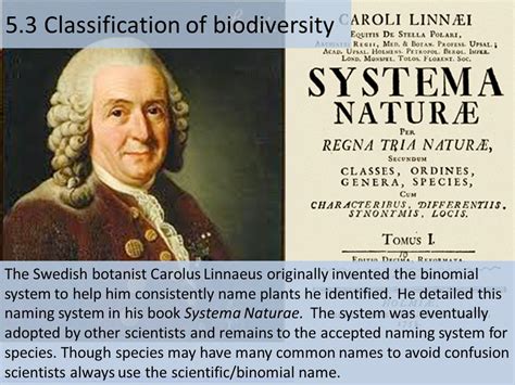 Carl Linnaeus Life Taxonomy Classification System Video 56 Off