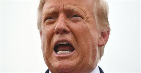 트럼프 틱톡·위챗 20일부터 다운로드 금지 매각 압박