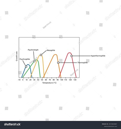 Diagram Showing Ideal Bacterial Growth Temperature Stock Vector Royalty Free 2573919367