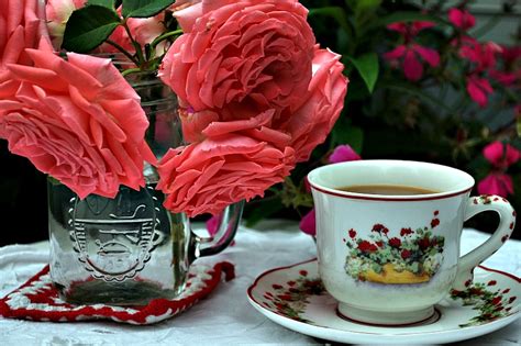 Sexy Monday Quotes Quotesgram