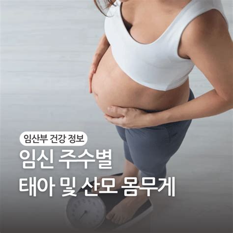 임신 주수별 태아몸무게 및 임산부 적정 몸무게 정상 산모 Vs 비만 산모 네이버 블로그