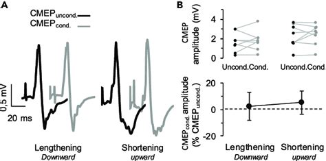 Effect Of A Conditioning TMS Pulse On CMEP Response Paired Pulse Download Scientific Diagram