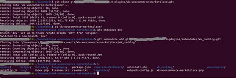 How To Use Submodules In Woocommerce Addons