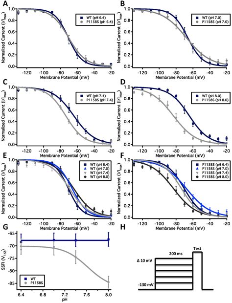 Voltage Dependence Of Steady State Fast Inactivation As Normalized Download Scientific Diagram