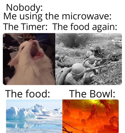 Microwave Meme