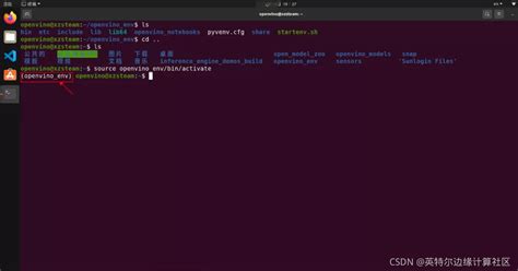 OpenVINO Notebooks教程-上篇_openvino notebooks教程-CSDN博客