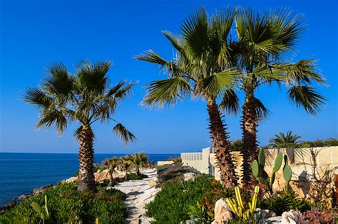 키프로스 섬 남서쪽 지중해 해안 파 포스 도시와 오 스 마을 사이 코럴 베이 사이 프 러 스의 야생의 자연 0명에 대한 스톡