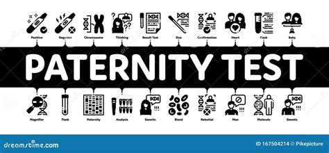 Paternity Test Dna Minimal Infographic Banner Vector Cartoondealer