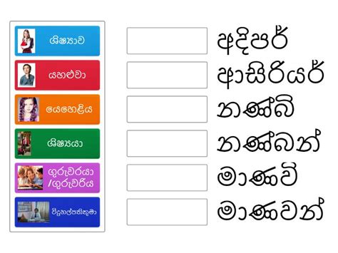 4 ශ්‍රේණිය දෙවන ජාතික භාෂාව පාසලේ සිටින විවිධ පුද්ගලයින් හංසිකා හෙට්ටිආරච්චි Match Up