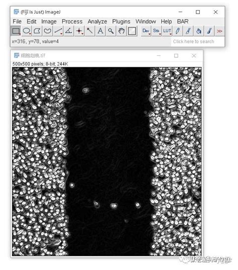 Imagej分析划痕面积（搬运自用版） 知乎
