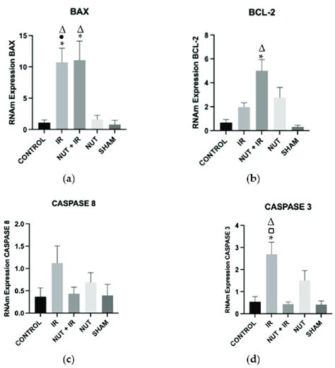Gene Expression Of Apoptosis Related Genes In All Groups A Bax B