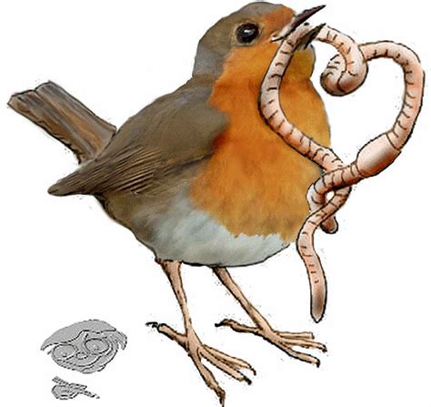Animated Robin Valentine Robin Hutton Flickr