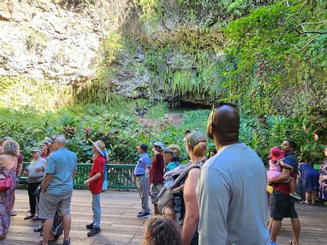 Smiths Fern Grotto Wailua River Cruis Kapaa All You Need To Know