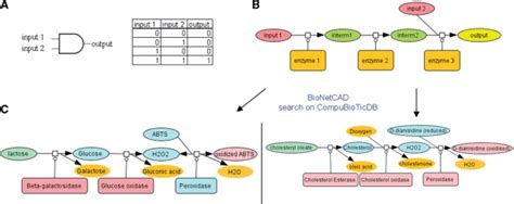 Case Study Design Of A Logic AND Gate A Logic AND Gate Scheme And Download Scientific