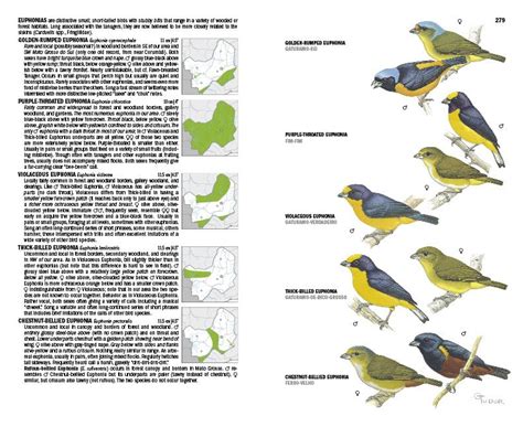 Review Wildlife Conservation Society Birds Of Brazil The Pantanal