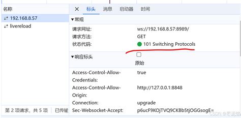 netty搭建websocket服务器，postman可以连接，浏览器无法连接 postman netty csdn博客