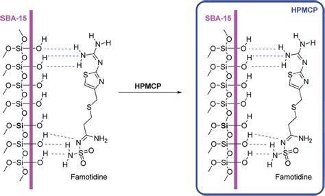 Scheme 10 The Structure Interaction Of Fm Sba 15 And Hpmcp Coated Download Scientific Diagram