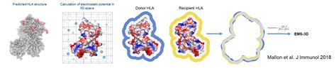 Hla Software Kosmoliaptsis Research Group