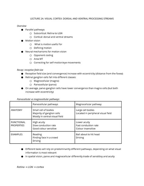 Lecture 2a Visual Cortex Dorsal And Ventral Processing Streams Lecture 2a Visual Cortex