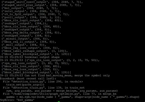 KeyError For Custom Data Training From Scratch Issue Tusen Ai Simpledet GitHub