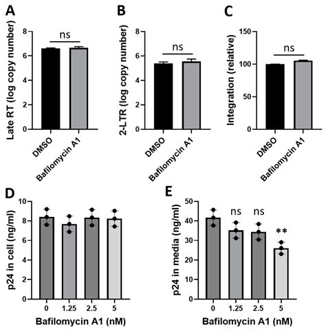 Bafilomycin A1 Inhibits Hiv 1 Infection By Disrupting Lysosomal