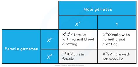 Monohybrid Vs Dihybrid Crosses