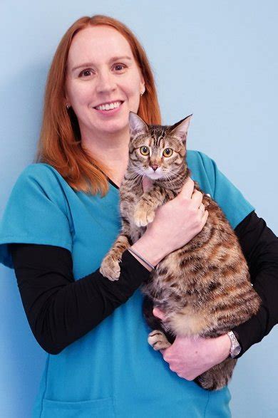 Your Pets Care Team Viking Veterinary Care