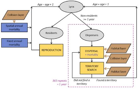 Figure A 5 Diagram Of The Main Structure Of The SE IBM With The Main Download Scientific