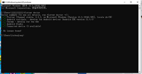 Report An Error About Flutter Startup Failure Issue Flutter Flutter GitHub