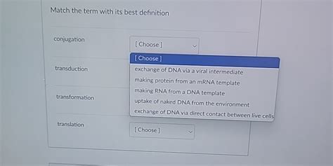 Solved Match The Term With Its Best Definitionconjugation Chegg