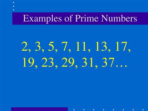 Examples Of Prime Numbers At Sonya Renda Blog