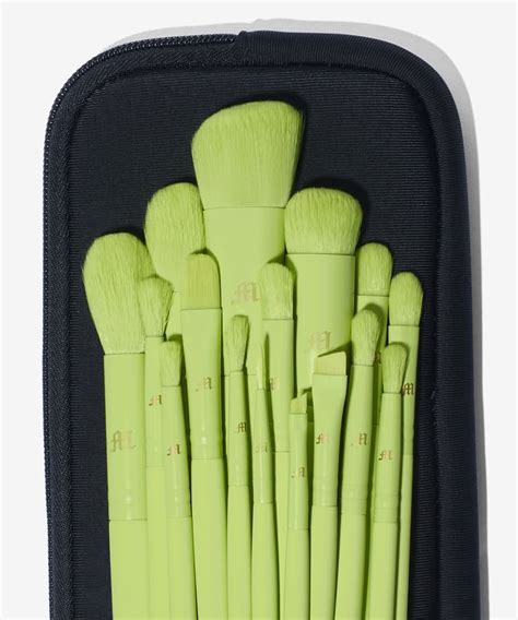 16 Piece Brush Set And Brush Pouch In 2024 Makeup Obsession Makeup