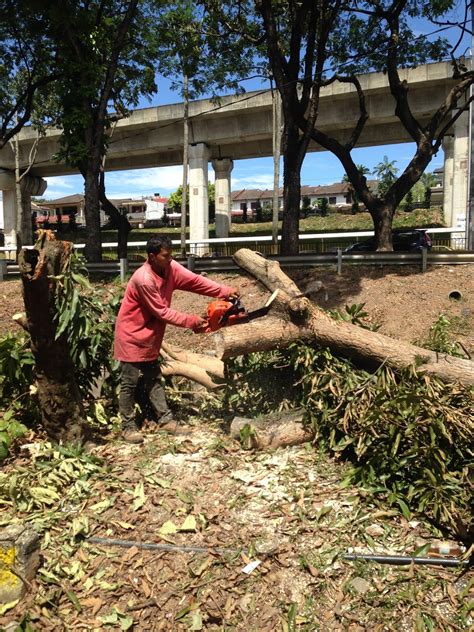 Uzaya Trading Perkhidmatan Sewa Lori Roro Dan Tong Sampah
