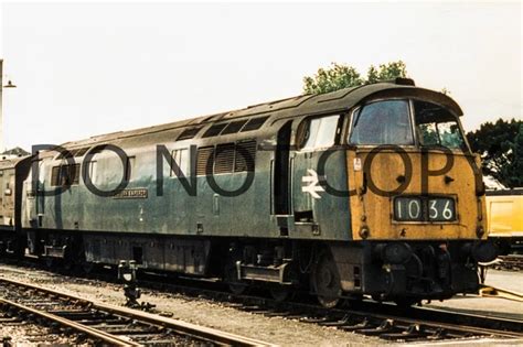 Uk Diesel Train Railway Photograph Of Class 52 Western D1036 Rm52 103