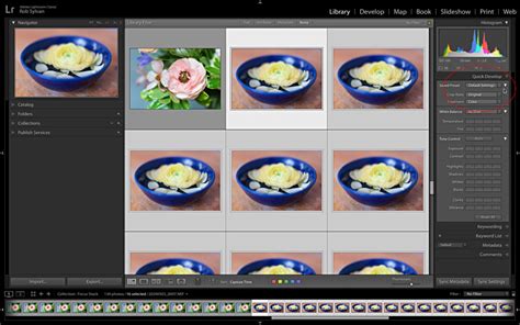 Exploring Batch Editing Options Lightroom Killer Tips