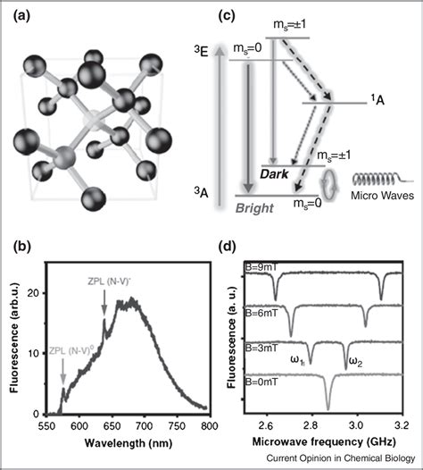 A The Schematic Representation Of The Nitrogen Vacancy Nv Centre In Download Scientific