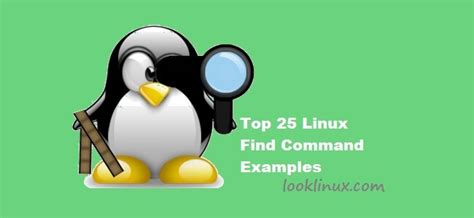 Top 25 Linux Find Command Examples LookLinux