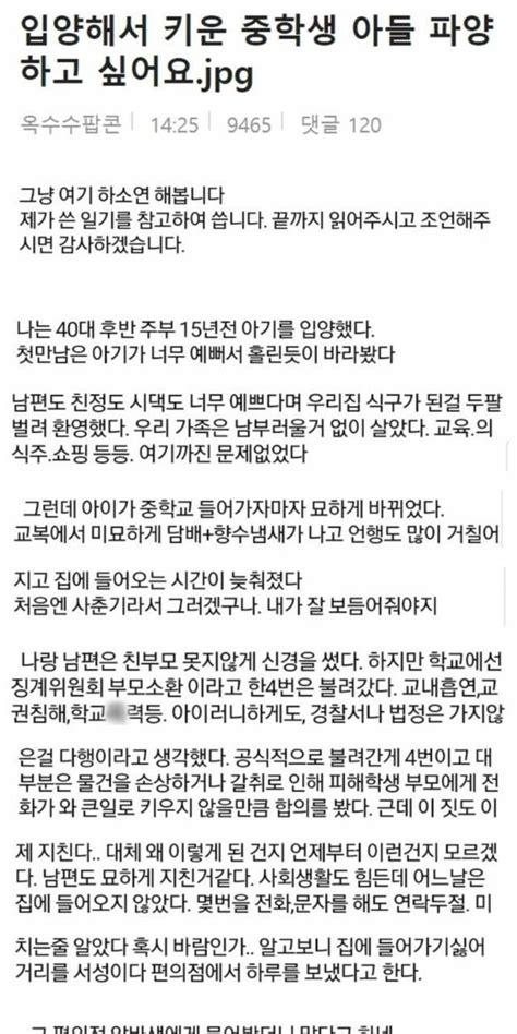 입양해서 키운 아들 파양하고싶어요