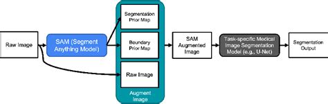 Figure 1 From Input Augmentation With Sam Boosting Medical Image