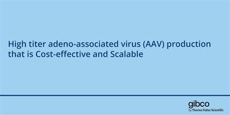 High Titer Adeno Associated Virus Aav Production That Is Cost Effective And Scalable