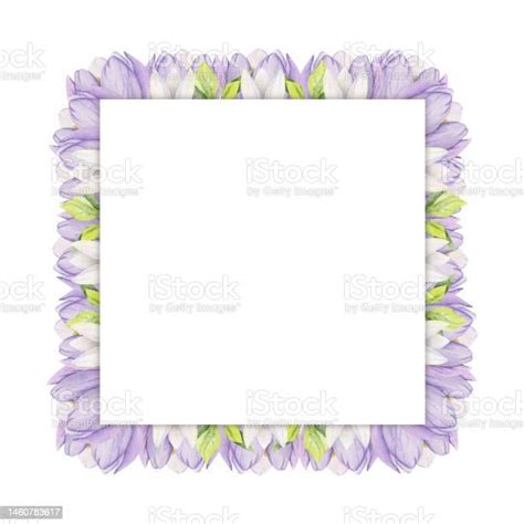 수채화 손으로 그린 사각형 프레임에는 봄 꽃 크로커스 헌병 나뭇가지 나뭇잎이 있습니다 흰색 배경에 격리 초대장 결혼식 인사말 카드 벽지 인쇄 섬유를위한 디자인 0명에 대한