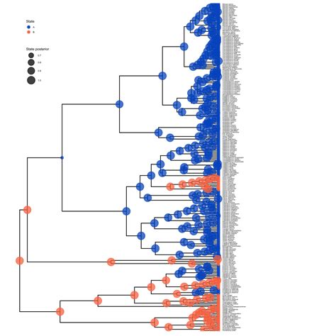 Revbayes State Dependent Diversification With Bisse And Musse